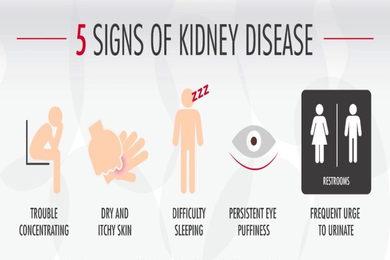 (Chronic) Kidney Disease: Causes, Stages, Symptoms & Treatment