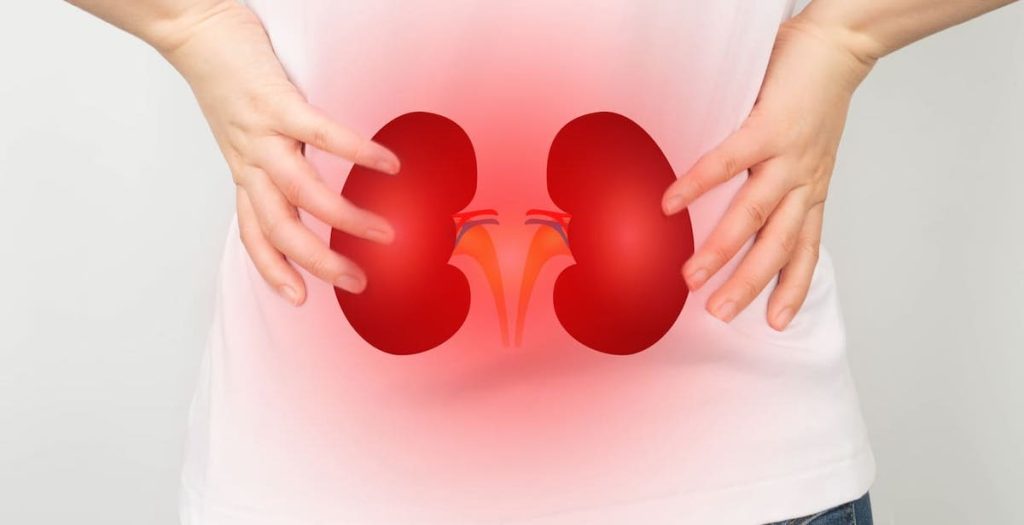 Kidney Failure: Causes, Symptoms & Treatment Options